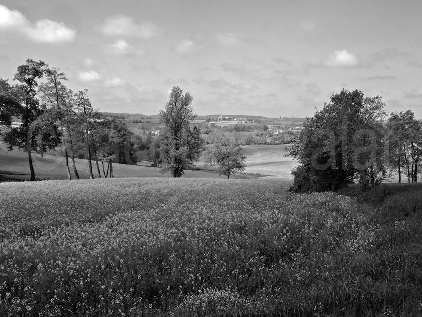 Portraits de Saint-Jacques - Camino de Santiago - Jacques Valat ...