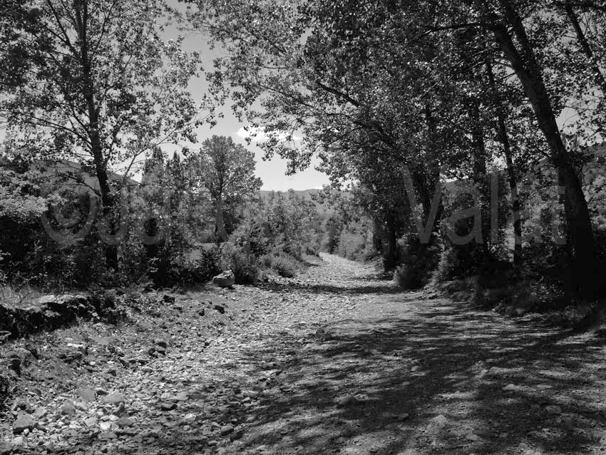 Portraits de Saint-Jacques - Camino de Santiago - Jacques Valat ...