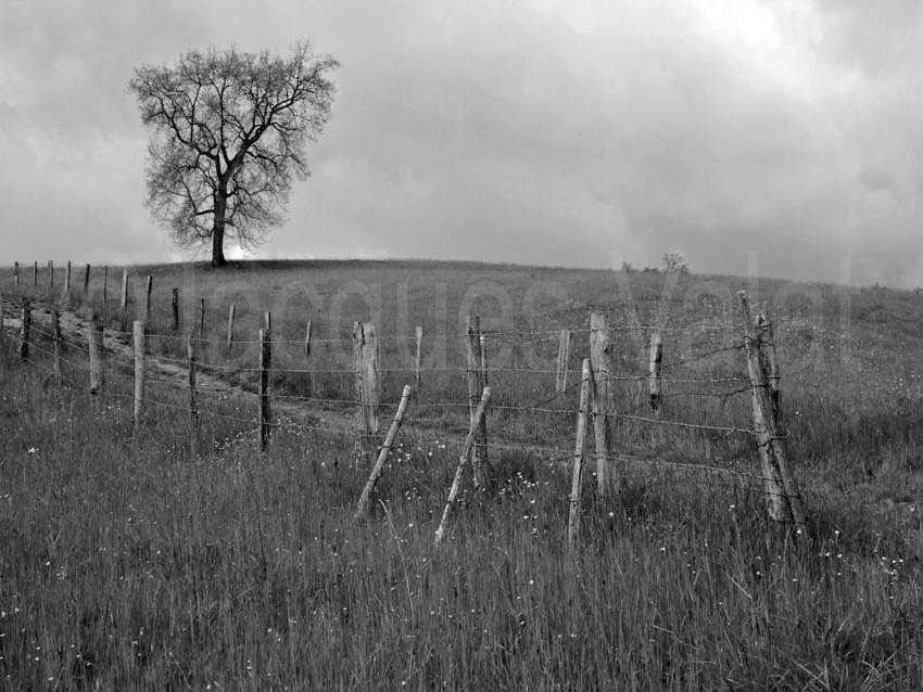Portraits de Saint-Jacques - Camino de Santiago - Jacques Valat ...