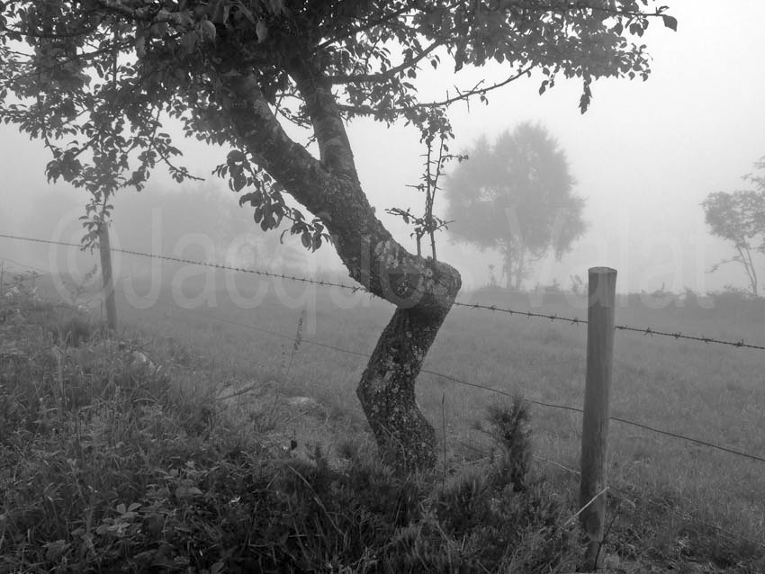 Portraits de Saint-Jacques - Camino de Santiago - Jacques Valat ...