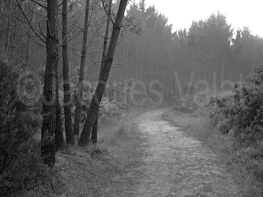 Portraits de Saint-Jacques - Camino de Santiago - Jacques Valat ...