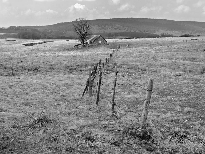 Portraits de Saint-Jacques - Camino de Santiago - Jacques Valat ...