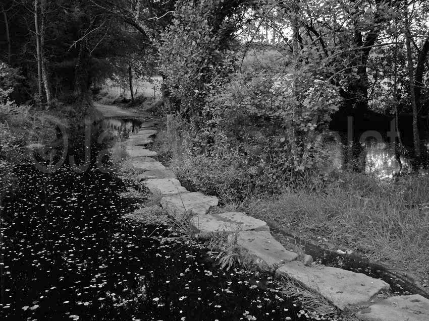 Portraits de Saint-Jacques - Camino de Santiago - Jacques Valat ...