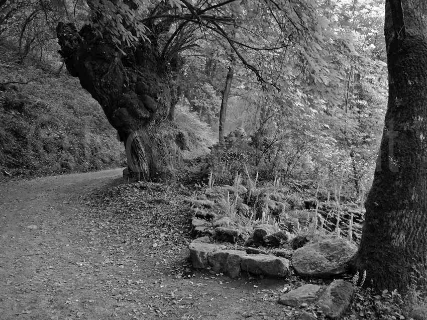 Portraits de Saint-Jacques - Camino de Santiago - Jacques Valat ...